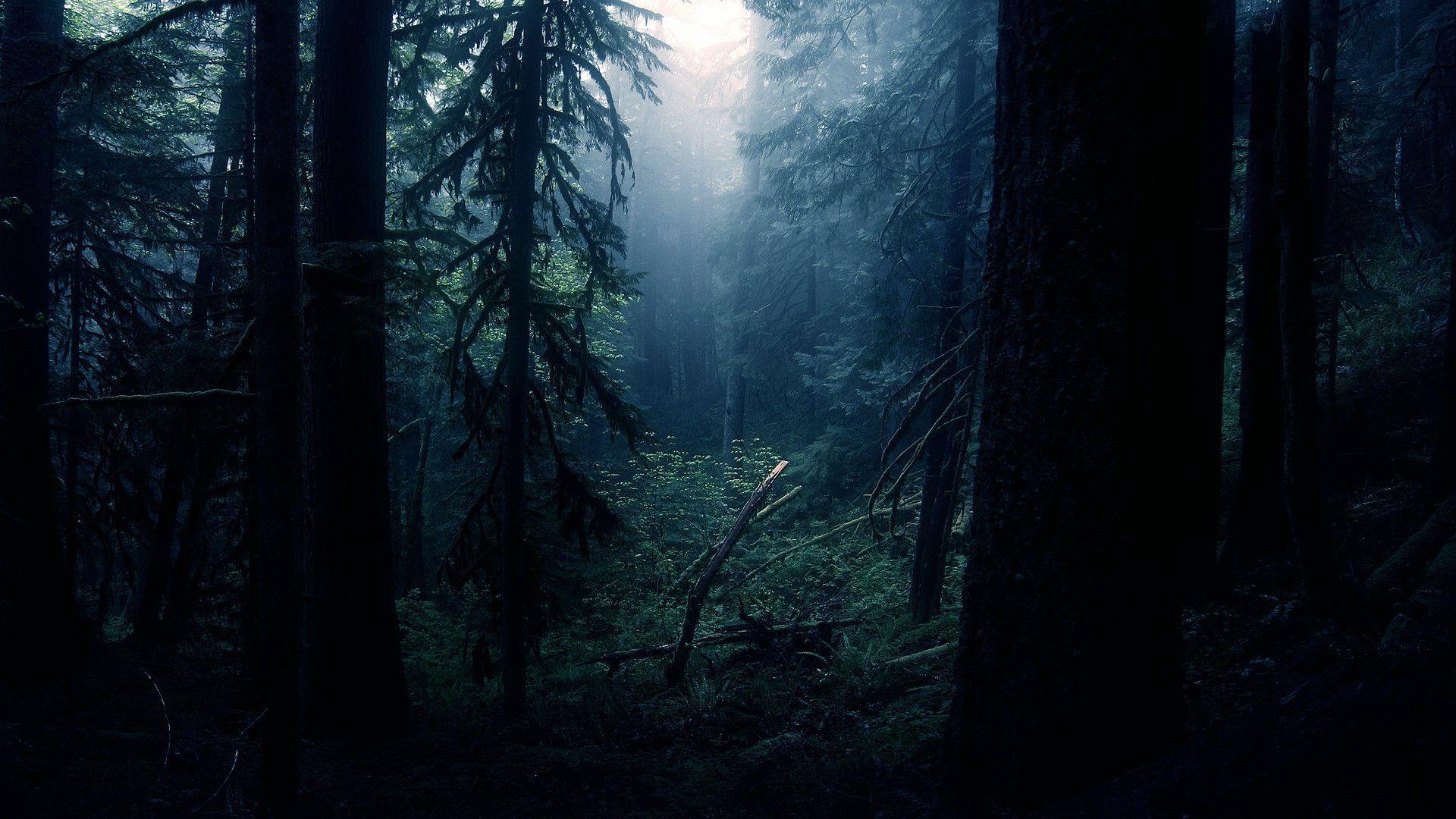 Pacific Northwest Wallpapers Wallpaper Cave