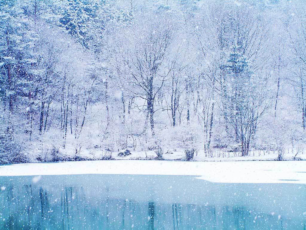 Winter Wonderland Desktop Backgrounds Wallpaper Cave