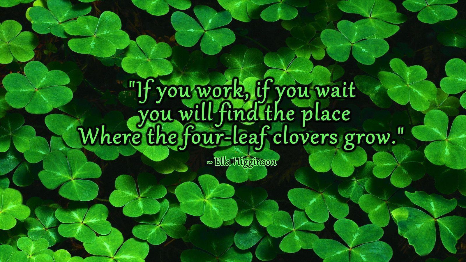 Four Leaf Clover Wallpapers Wallpaper Cave