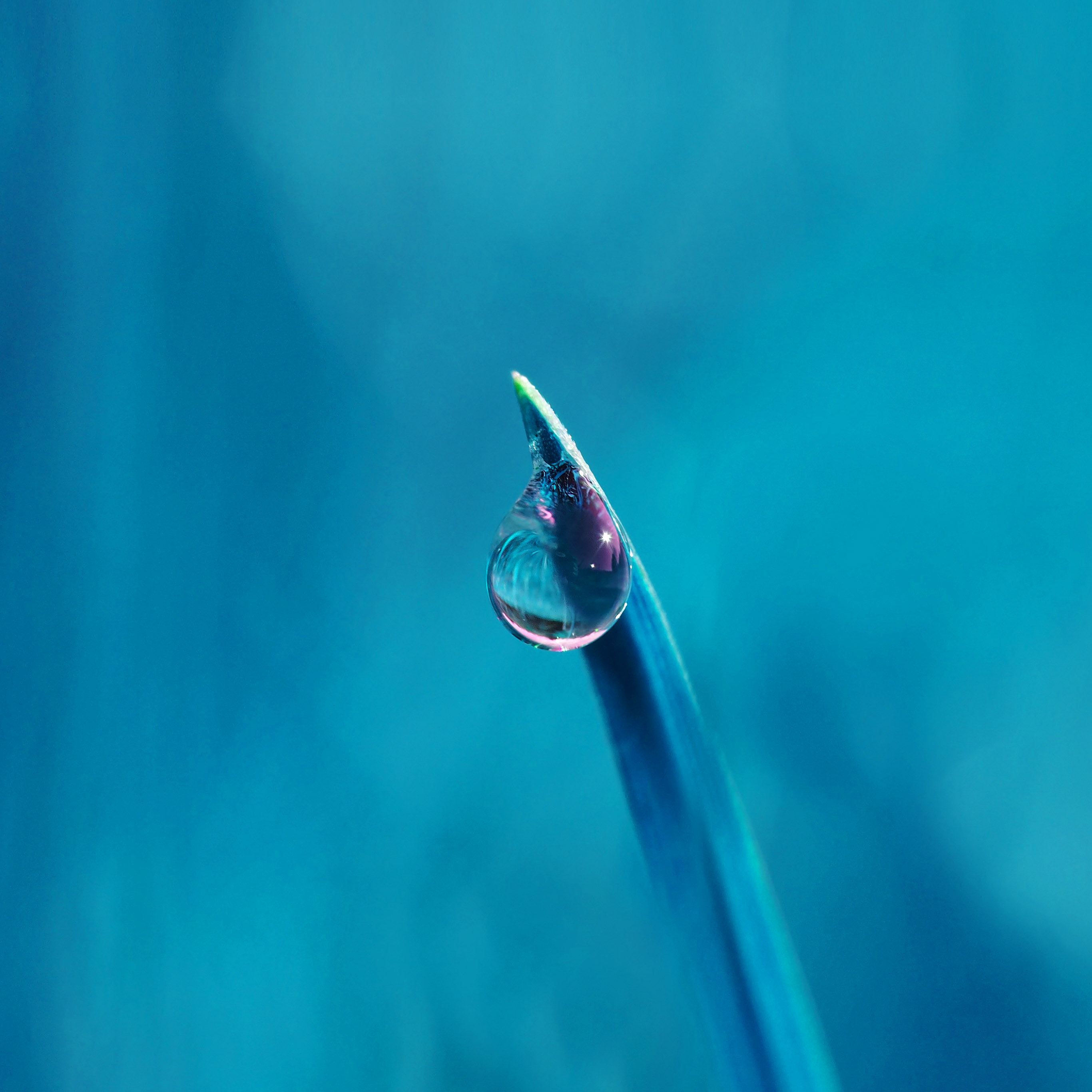 Дрип обои фото — Каталог Фото