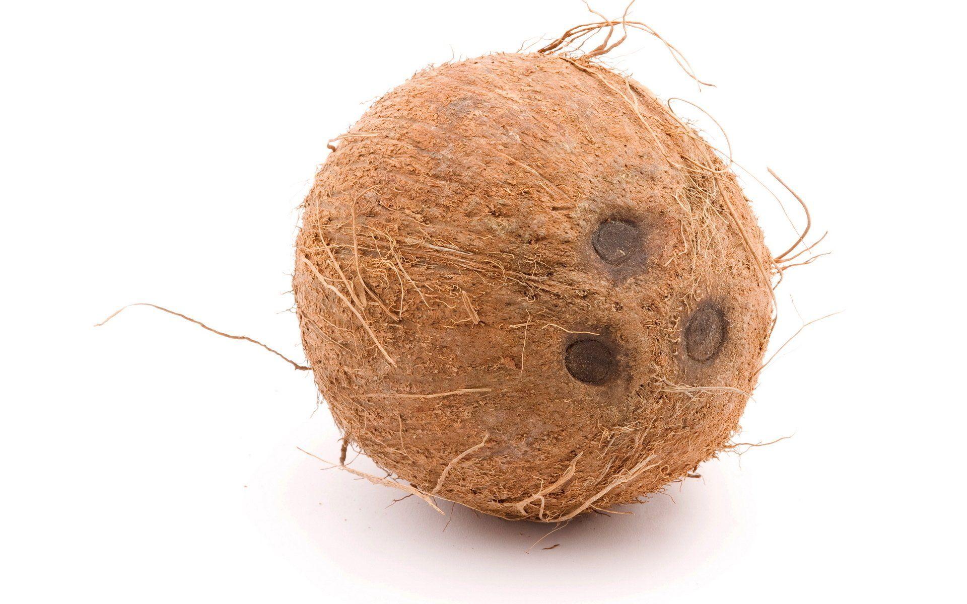 Coconut Wallpapers Wallpaper Cave Coconut Wallpapers Wallpaper Cave