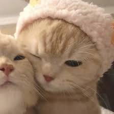 Keiry Wallpapers - Wallpaper Cave