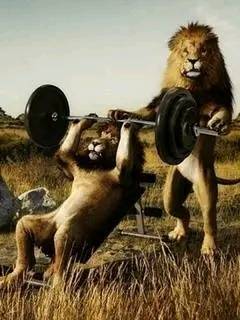 Alvarito Wallpapers - Wallpaper Cave