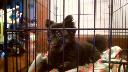 Adeline Wallpapers - Wallpaper Cave