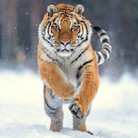 Steven Conrad Wallpapers - Wallpaper Cave