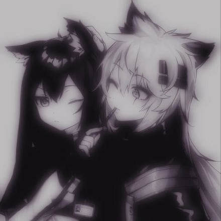 Bunnycore Wallpapers - Wallpaper Cave