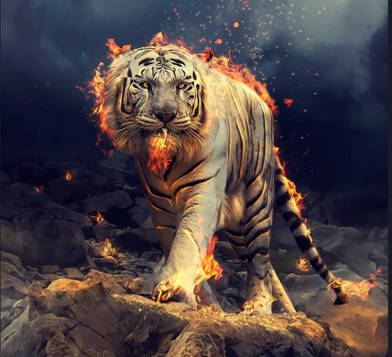 Firomsa Wallpapers - Wallpaper Cave