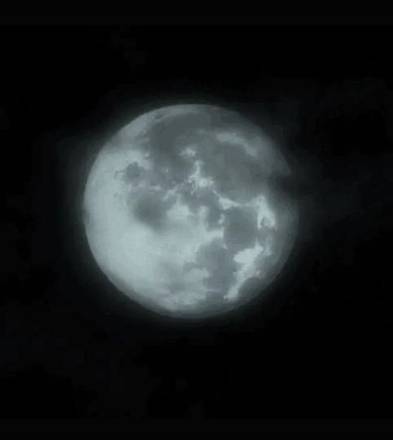 Leah_playz Wallpapers - Wallpaper Cave