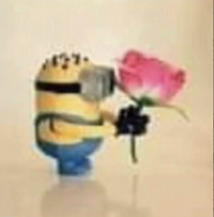 Pp Wallpapers - Wallpaper Cave