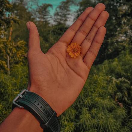 Syed Wallpapers - Wallpaper Cave