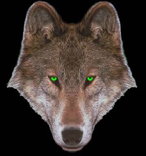 LoneWolf Wallpapers - Wallpaper Cave