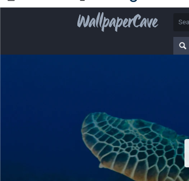 Wallpaper_cave_offical Wallpapers - Wallpaper Cave