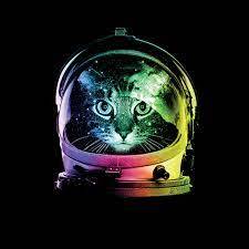 Wallpapercollector Wallpapers - Wallpaper Cave