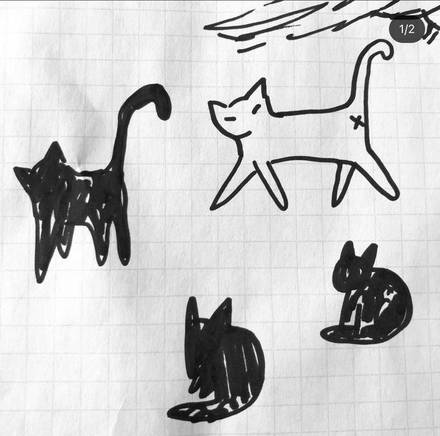 Zenny Wallpapers - Wallpaper Cave