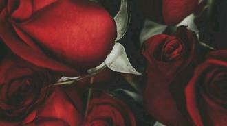 The Panturas Wallpapers - Wallpaper Cave