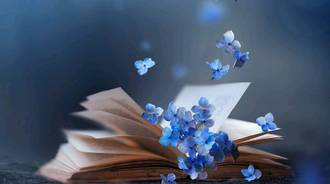 The Panturas Wallpapers - Wallpaper Cave