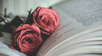 The Panturas Wallpapers - Wallpaper Cave