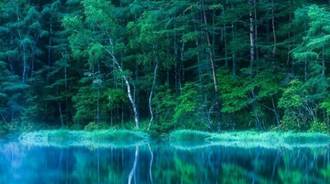 Rose Gold Wallpapers - Wallpaper Cave