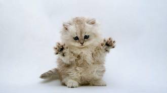 FromSoftware Wallpapers - Wallpaper Cave