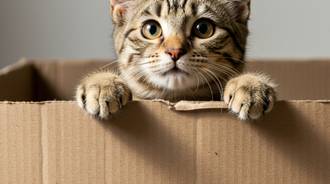 FIFA World Cup 2026 Wallpapers - Wallpaper Cave