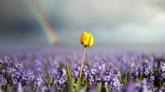 Rex Splode Wallpapers - Wallpaper Cave