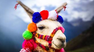 Cyber Sigilism Wallpapers - Wallpaper Cave