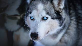 Cyber Sigilism Wallpapers - Wallpaper Cave