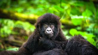 Cyber Sigilism Wallpapers - Wallpaper Cave