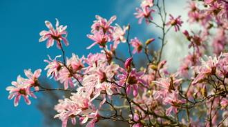 Arduino Wallpapers - Wallpaper Cave