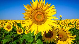 Arduino Wallpapers - Wallpaper Cave