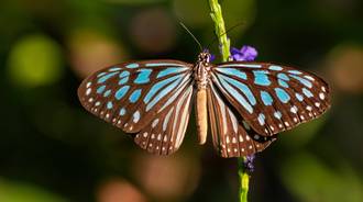 Philips Wallpapers - Wallpaper Cave