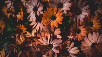 Low Resolution Wallpapers - Wallpaper Cave