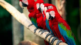 Minecraft Shader 4k Wallpapers - Wallpaper Cave