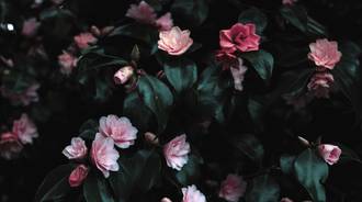 Cozy Minecraft Wallpapers - Wallpaper Cave