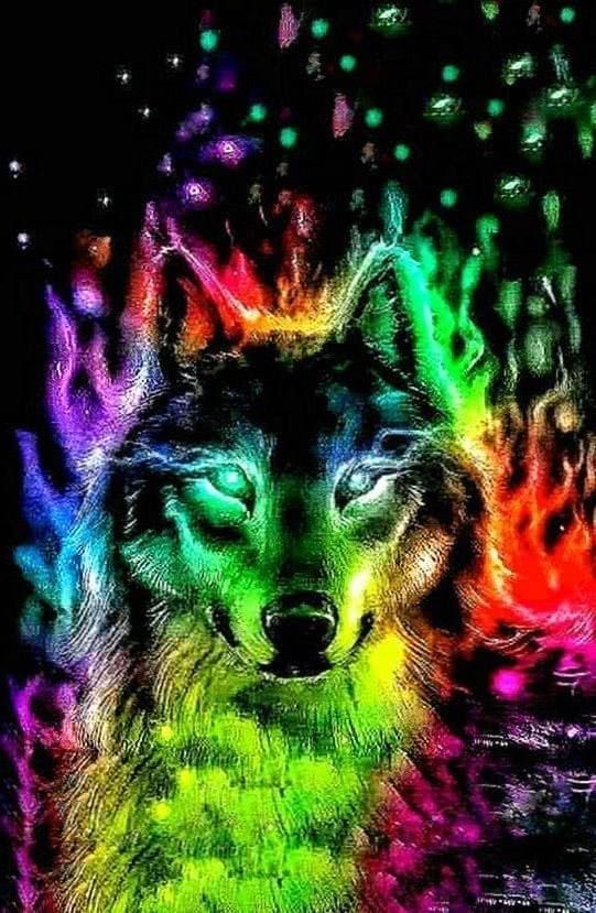 Rainbow Anime Wolf