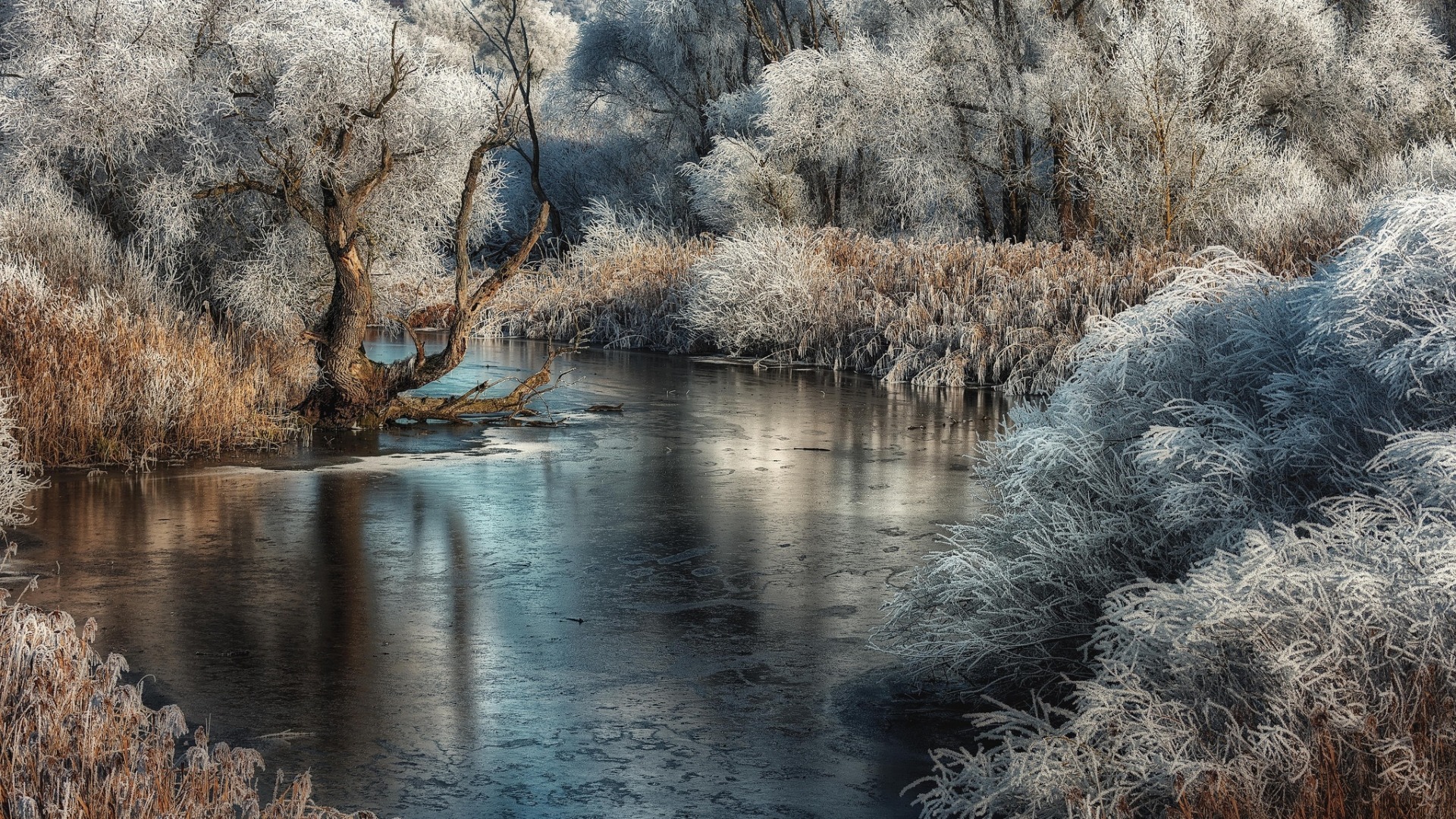 Well Computer Wallpaper