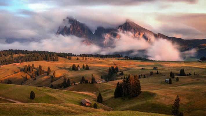 Latest uploaded Wallpapers - Wallpaper Cave