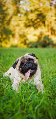 Latest uploaded Wallpapers - Wallpaper Cave