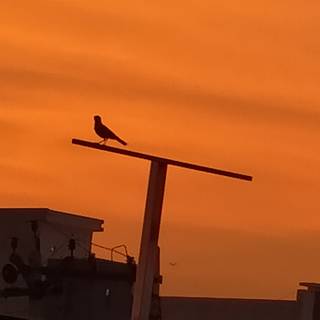 Mk8 Wallpapers - Wallpaper Cave