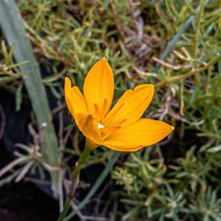 Hash Wallpapers - Wallpaper Cave