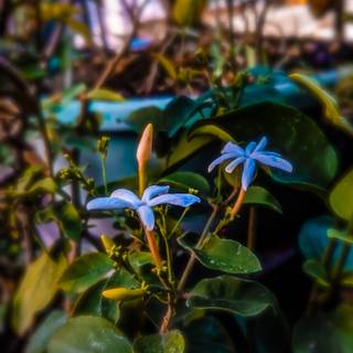 Hash Wallpapers - Wallpaper Cave