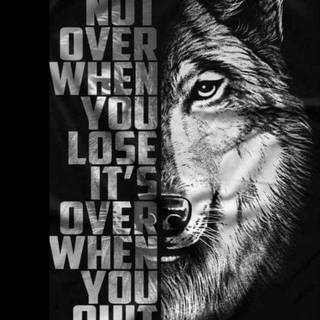 Daylen Wallpapers - Wallpaper Cave