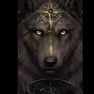 Daylen Wallpapers - Wallpaper Cave