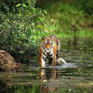 MANAS PARMAR Wallpapers - Wallpaper Cave