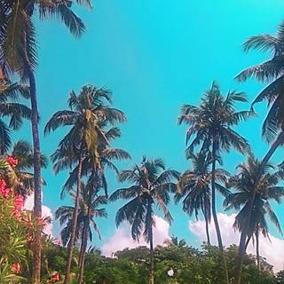 No_name_01 Wallpapers - Wallpaper Cave