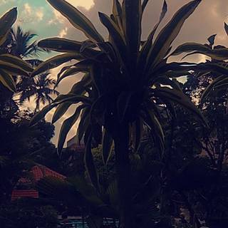 No_name_01 Wallpapers - Wallpaper Cave