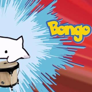 Bango Cat Wallpapers - Wallpaper Cave
