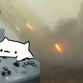 Bango Cat + Wallpapers - Wallpaper Cave