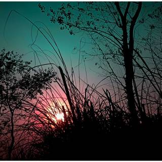 Fahim Wallpapers - Wallpaper Cave