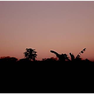 Fahim Wallpapers - Wallpaper Cave